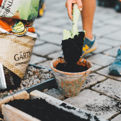 LiveLighter - Soils ain't soils